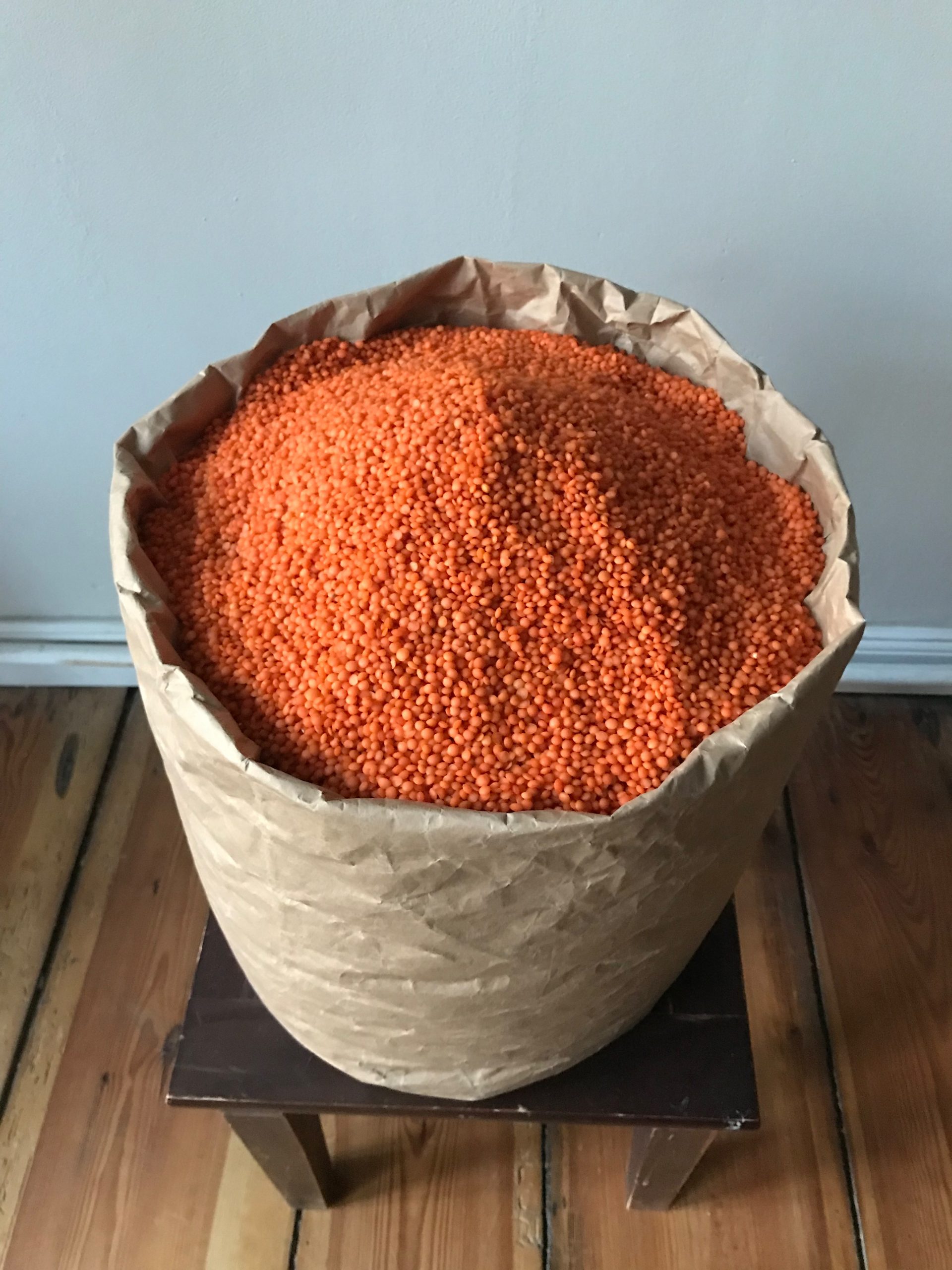 installations/sculptures – Mona Glass